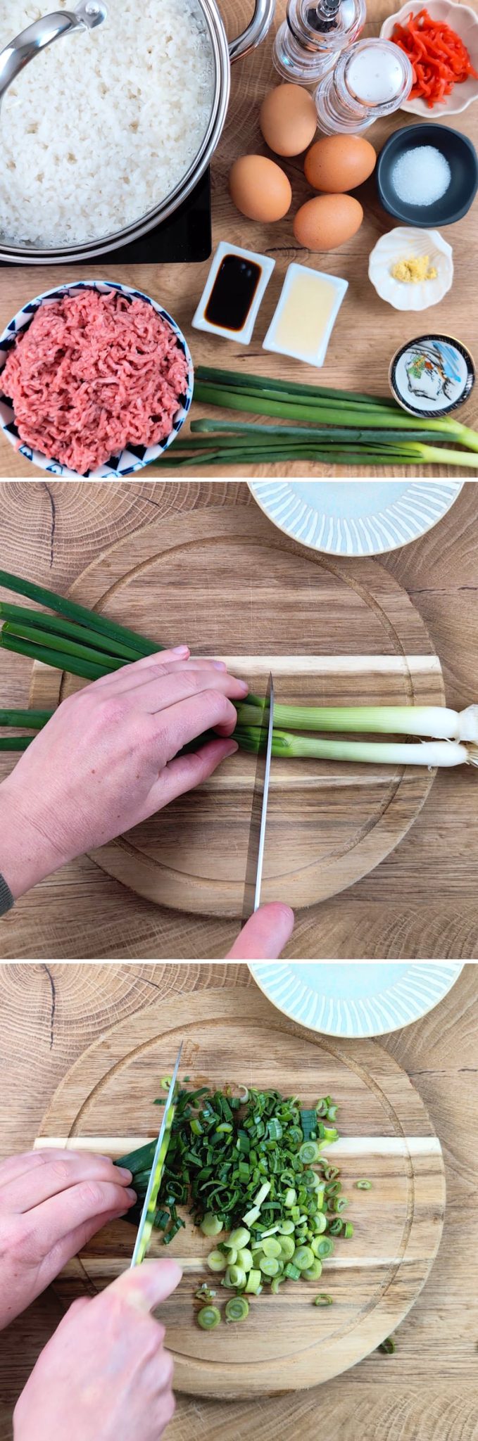 Soboro Don: 20 Minuten Donburi Rezept mit Hack & Ei Topping